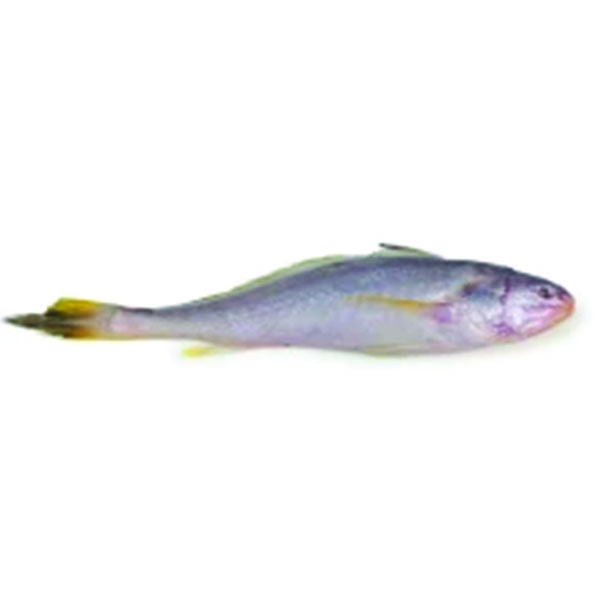 Poa Fish Sea (7-10Pc/Kg) ±30gm – Shobji Bazar