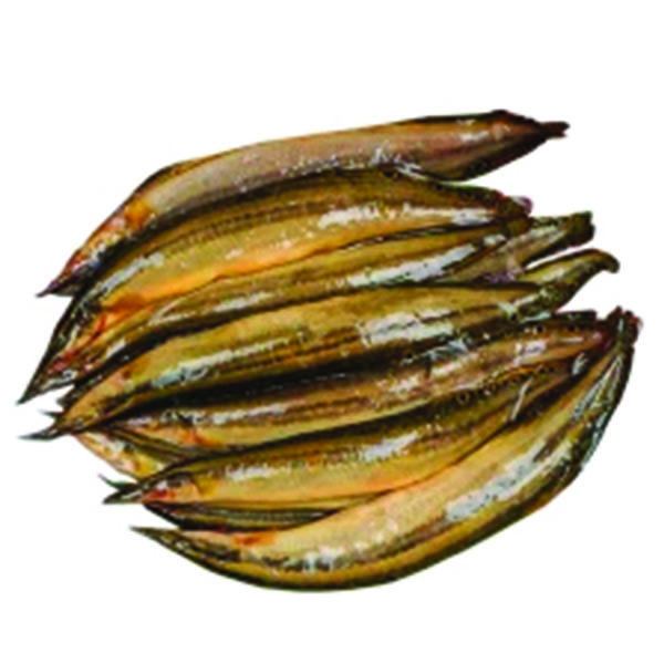 Bain Fish Long Big – Shobji Bazar