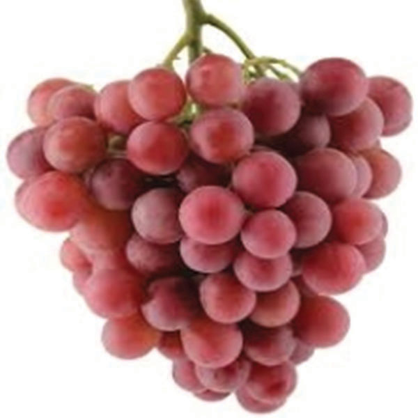 Lal Angur (Red Grapes) – Shobji Bazar